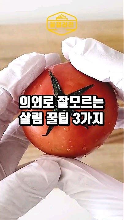 의외로 잘모르는 살림 꿀팁 3가지 Youtube