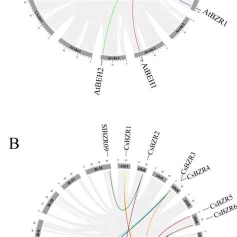 Protein Interaction Network Prediction And Gene Expression Heatmap A
