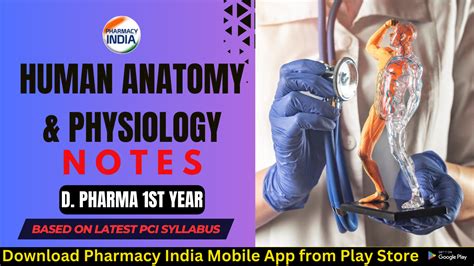 Human Anatomy And Physiology D Pharma 1st Year Notes For Comprehensive