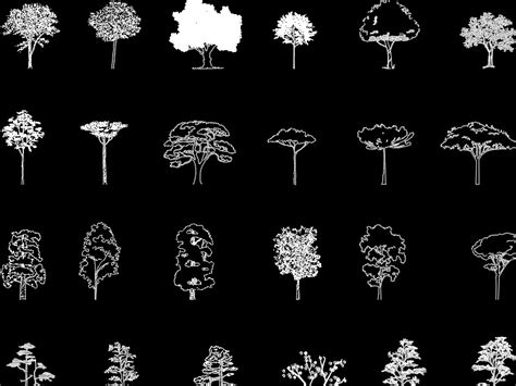 Plantas Colgantes Autocad Archivos Bloques Dwg