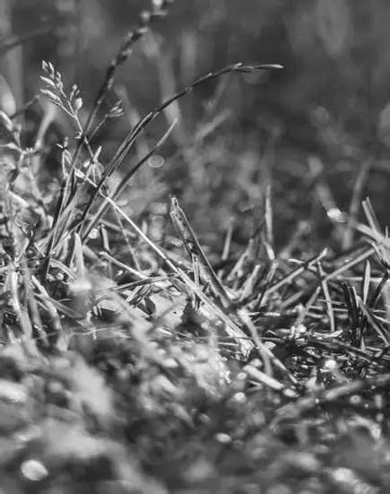 Python 정규 표현식 Regular Expression 기초 두잇올블로그