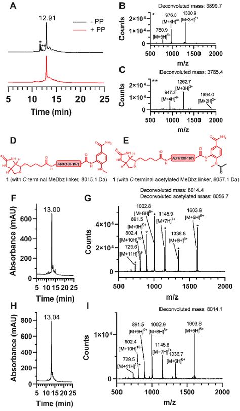 Synthesis Of The N Terminal Fragment 1 A Overlay Of The