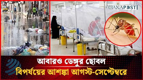 আবারও ডেঙ্গুর ছোবল বিপর্যয়ের আশঙ্কা আগস্ট সেপ্টেম্বরে Dengue Dhakapost News Youtube