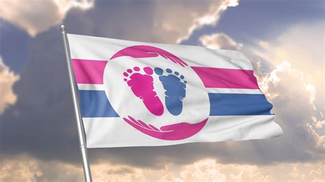 Pro Life Flag Project