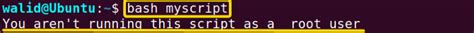 the “whoami” command in linux [5 practical examples]
