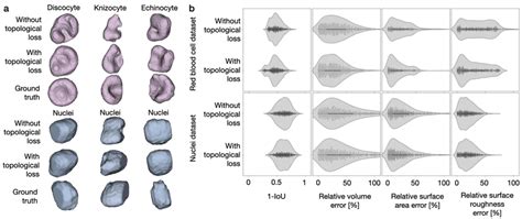 We Combined Our Novel Topological Loss L T With SHAPR S Geometrical Download Scientific Diagram