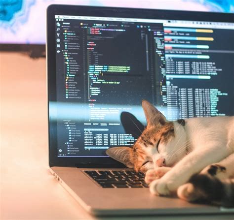 Export Your Chatgpt Conversations To Markdown In A Second By Matija