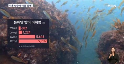 기후위기④ 오징어 사라진 어장에 청어·방어 떼남해는 정어리 급증