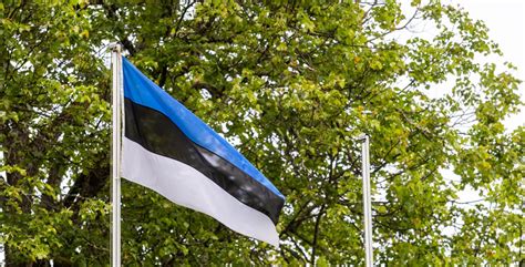 ФОТО «Невероятно В День защиты детей флаг Эстонии развевался вверх ногами