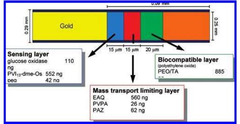 Design Of An Implantable Four Layered Glucose Biosensor For
