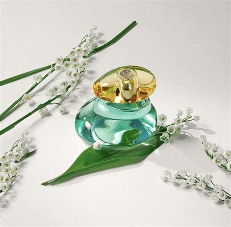 სუნამოები და პარფიუმერია