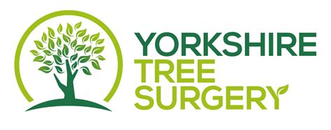 Tree Lopping Vs Tree Pruning Understanding The Difference For Your Garden S Health