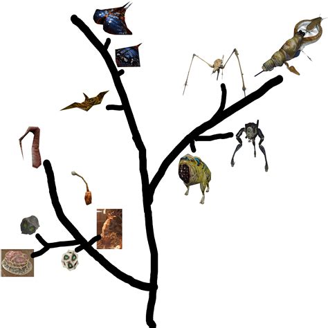 Xenian Phylogenetic Trees R Halflife