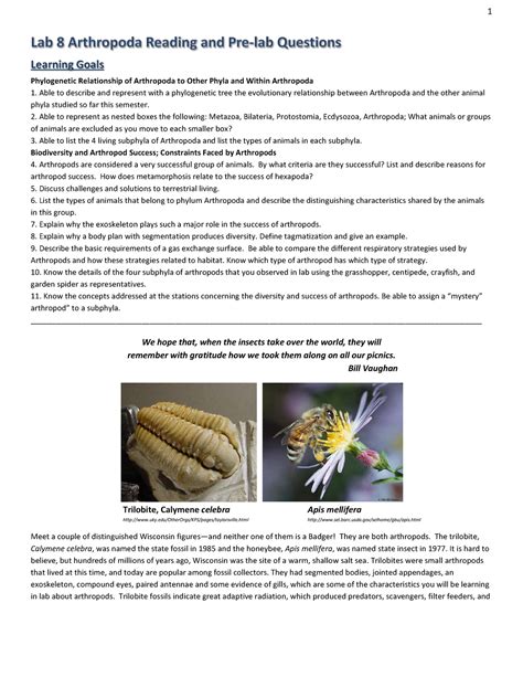 Lab 8 Reading And Prelab Questions Spring 2019 Learning Goals Phylogenetic Relationship Of