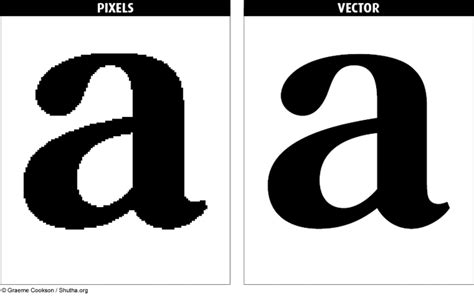 Pixel Vs Vector Lowe Photography