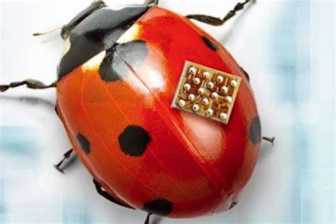 Bluetooth Low Energy SoC And Module Combine To Extend IoT Reach Weartech Design