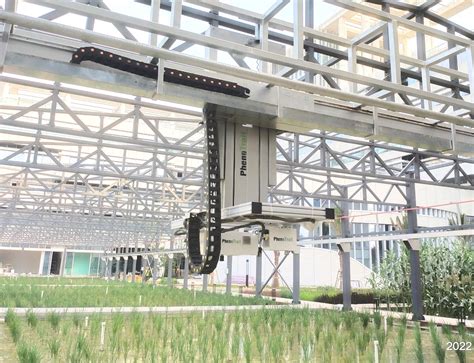 定制化高通量植物表型平台 叶绿素荧光 光合作用 慧诺瑞德