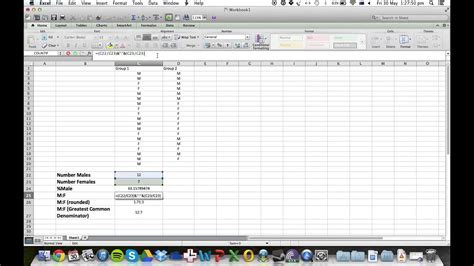 Microsoft Excel How To Count Male And Female Male Female Ratios Including Rounding YouTube