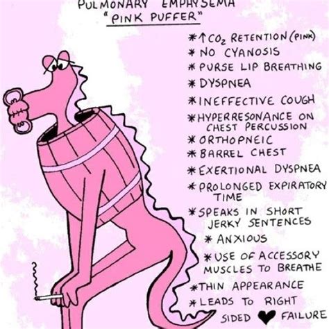 265 Best Images About Nursing Mnemonics On Pinterest