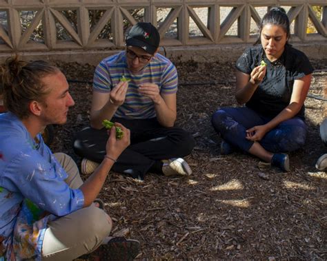 Video Asu Gardening Club Hopes To Make Asu More Plant Friendly The