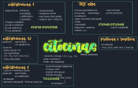 Citocinas Esthefany Pérez Zambrana Udocz
