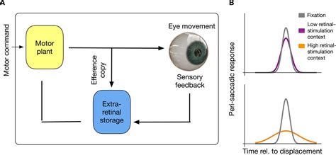 Saccade Suppression Depends On Context Elife