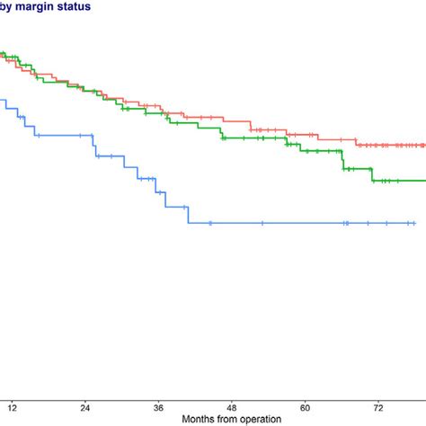 Overall Survival By Margin Status Download Scientific Diagram