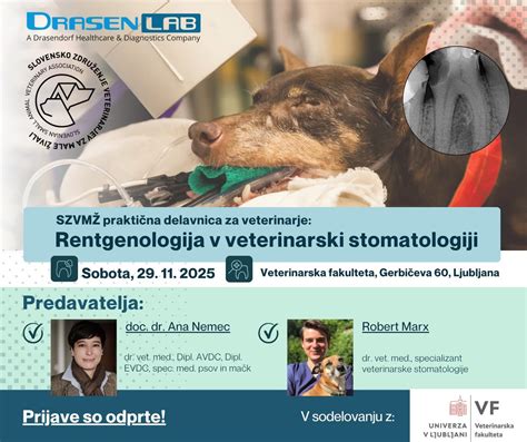 Šolska Veterinarska Ambulanta Bic Ljubljana Ljubljana