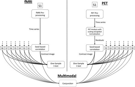Graphical Illustration Of Seed Based Correlation Analysis Of FMRI And Download Scientific