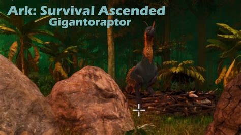 Ark Survival Ascended Episode 10 Gigantoraptor Youtube