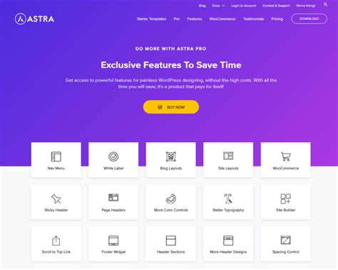 Astra Theme Review From Beginner To Pro Description