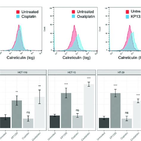 Tumor Spheroids Size Uniformization A A Typical Image Showing The