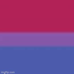 Bisexual  I Can Make Other Lgbtq Flag S If You Want Me To Imgflip