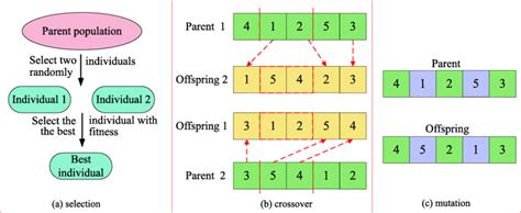 Selection Crossover And Variation Operations Download Scientific