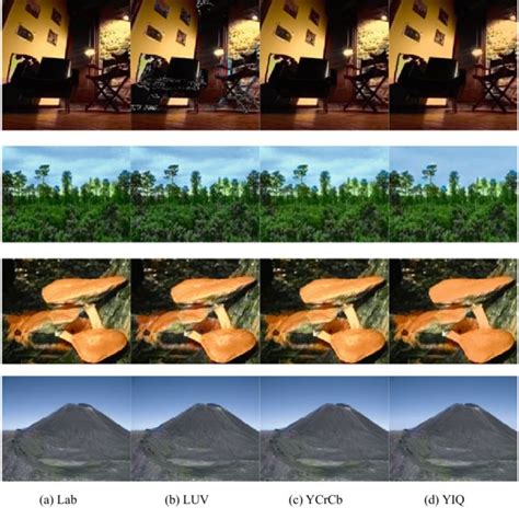 Pdf Comparison Of Grayscale Image Colorization Methods In Different