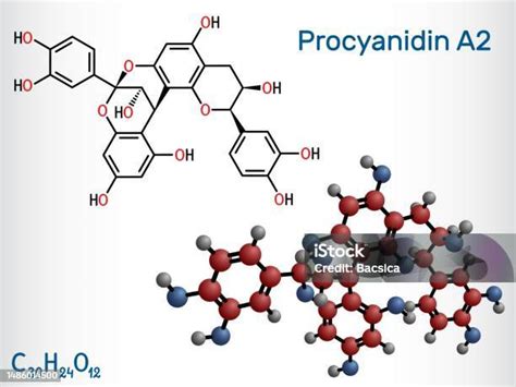 프로시아니딘 A2 프로안토시아니딘 A2 분자 요로 감염 예방에 사용되는 천연 제품입니다 구조화학식 분자모형 계피에 대한 스톡 벡터 아트 및 기타 이미지 Istock