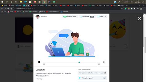 Animation Videos In Flutter Application Using Lottie Files By Tamil