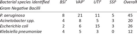 Bacterial Isolates From Diff Erent Infecti On Sites Download Scientific Diagram