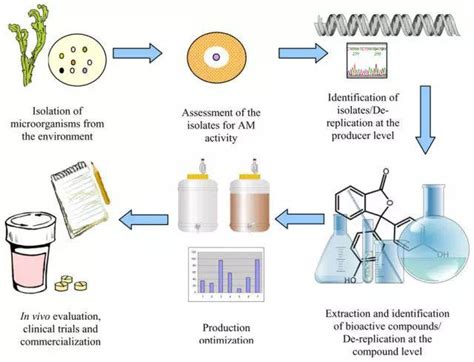 天然先导化合物到候选抗癌药物的优化策略（一） 知乎