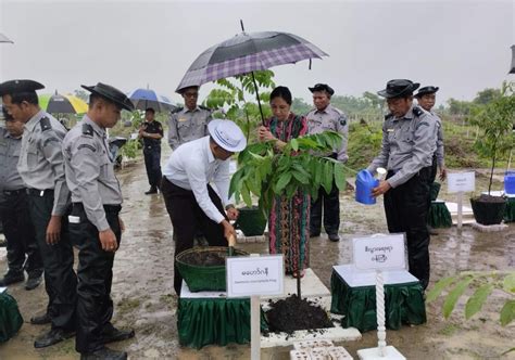 ရန်ကုန်တိုင်းဒေသကြီးအစိုးရအဖွဲ့မှဦးဆောင်၍ ၂၀၂၃ ခုနှစ်၊ မိုးရာသီသစ်ပင
