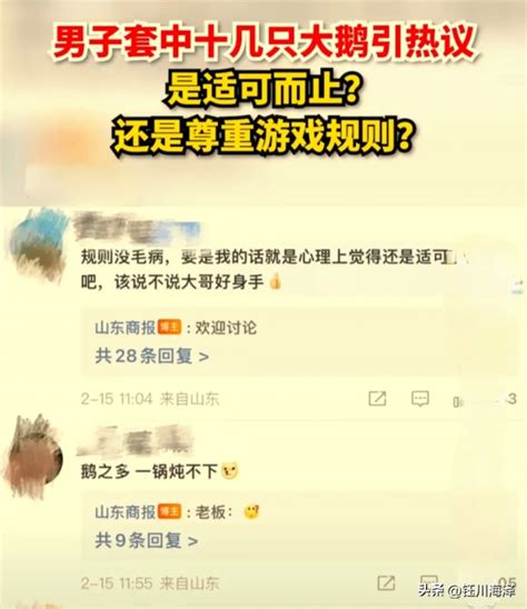 男子庙会上套大鹅精准打击，一口气套中十几只大鹅，收获满满令网友艳羡