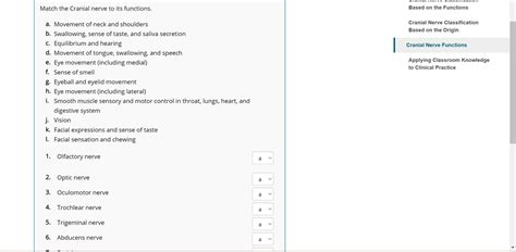 Answered Match The Cranial Nerve To Its… Bartleby