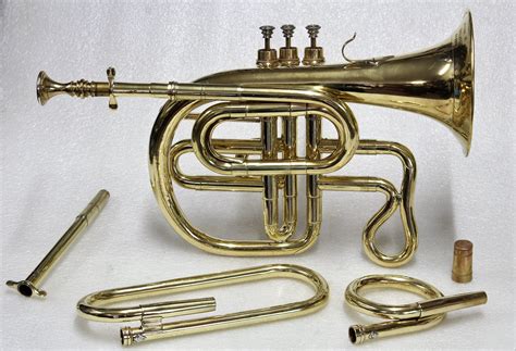 Wood And Ivy Cornopean — Robb Stewart Brass Instruments
