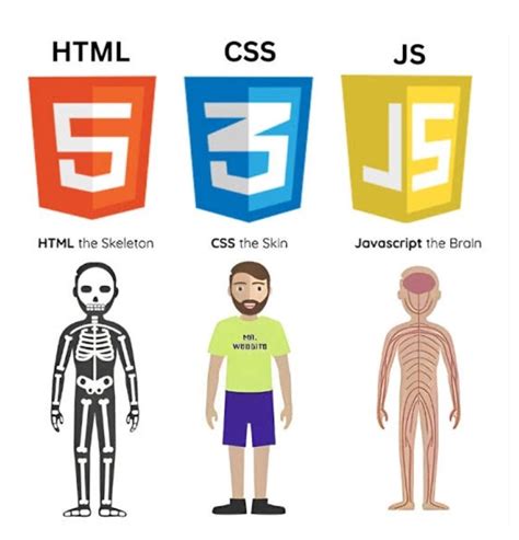 Lakshmi Pavananjali Pamidi On Linkedin Html Css Js