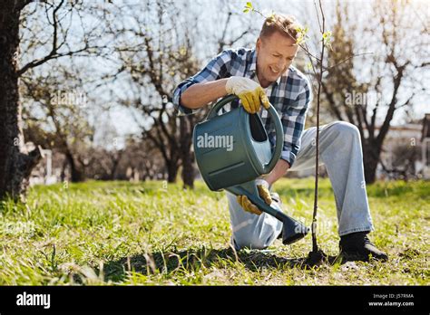Man Watering Tree Hi Res Stock Photography And Images Alamy