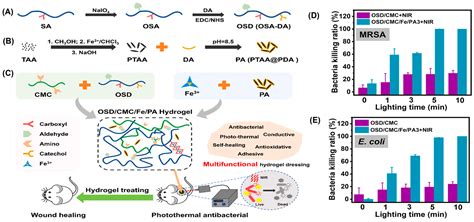 Dynamic Hydrogels Against Infections From Design To Applications
