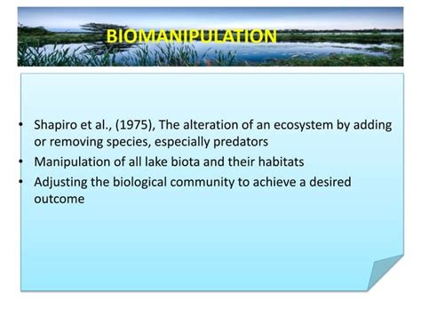Management Of Wetlands Through Biomanipulation Pptx