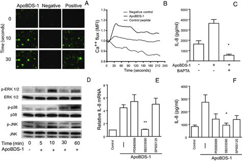 Apolipoprotein B100 Danger Associated Signal 1 Apobds 1 Induces