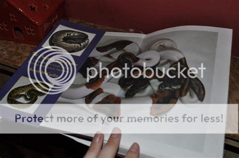 The Complete Ball Python Book By Kevin Mccurley Reptile Forums