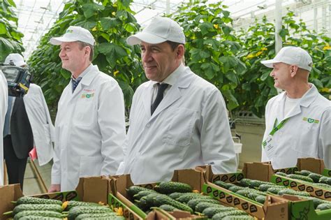 Министр сельского хозяйства РФ посетил АО «Тепличное